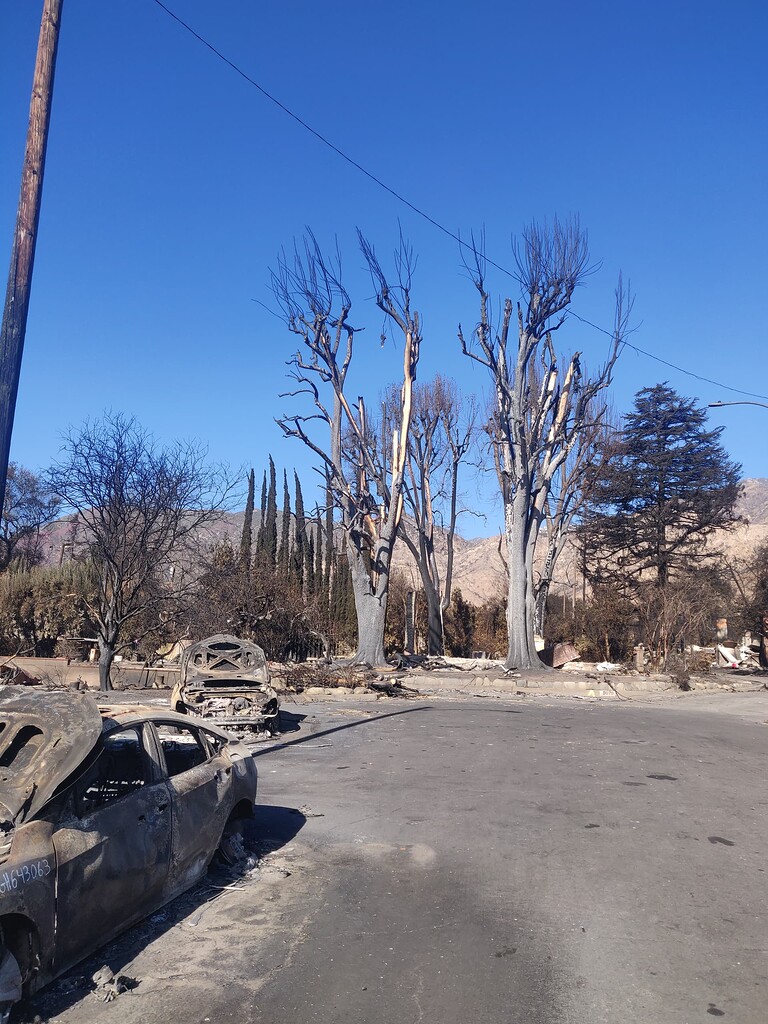Hand engraving for LA fire victims - Jewelry Discussion - Ganoksin ...